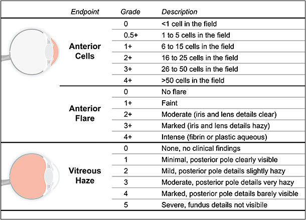 Retinal Physician | PentaVision