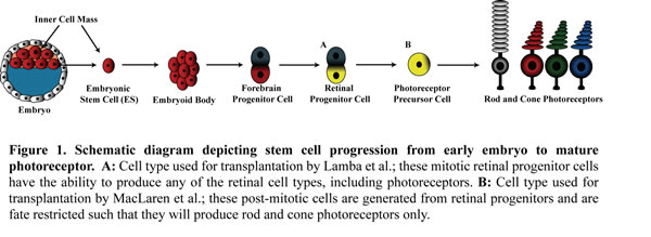 Retinal Physician | PentaVision