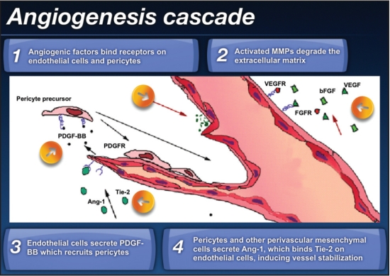 Retinal Physician | PentaVision