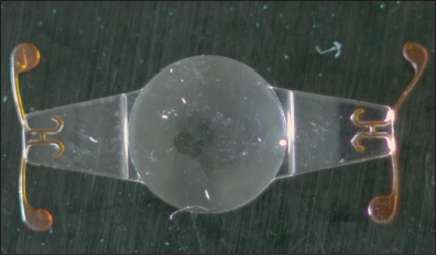 Retinal Physician | PentaVision